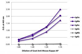 AP Goat Anti-Mouse Kappa | SouthernBiotech