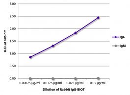Biotin Rabbit IgG Isotype Control | SouthernBiotech