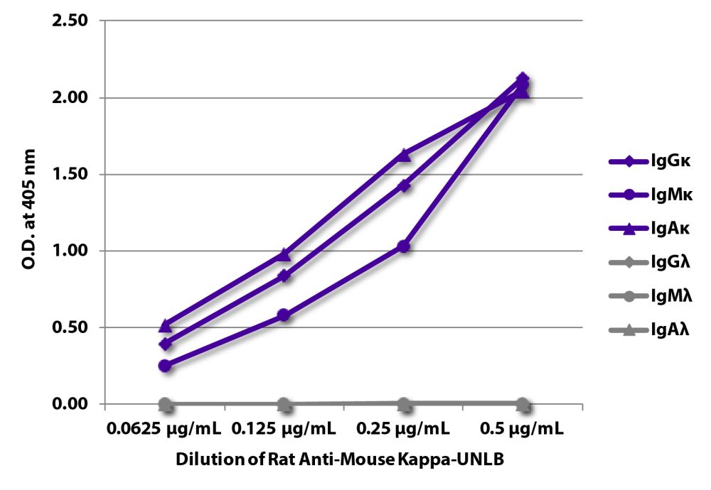 Unlabeled Anti-Mouse Kappa, 187.1 | SouthernBiotech