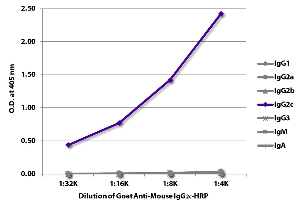 HRP Goat Anti-Mouse IgG2c | SouthernBiotech