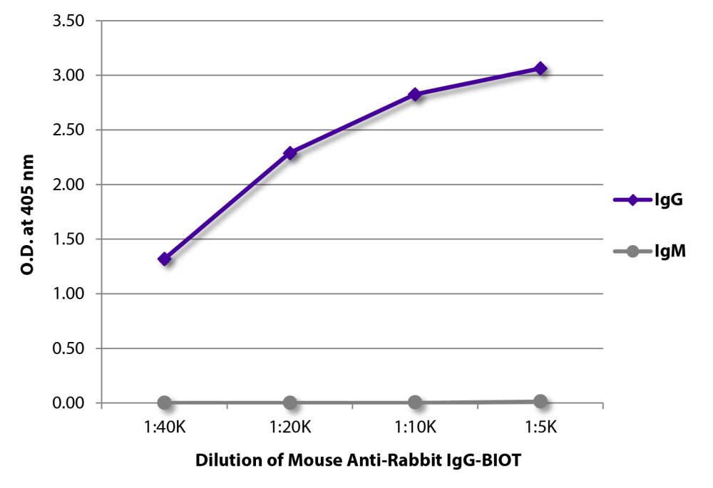 Biotin Anti-Rabbit IgG, 2A9 | SouthernBiotech