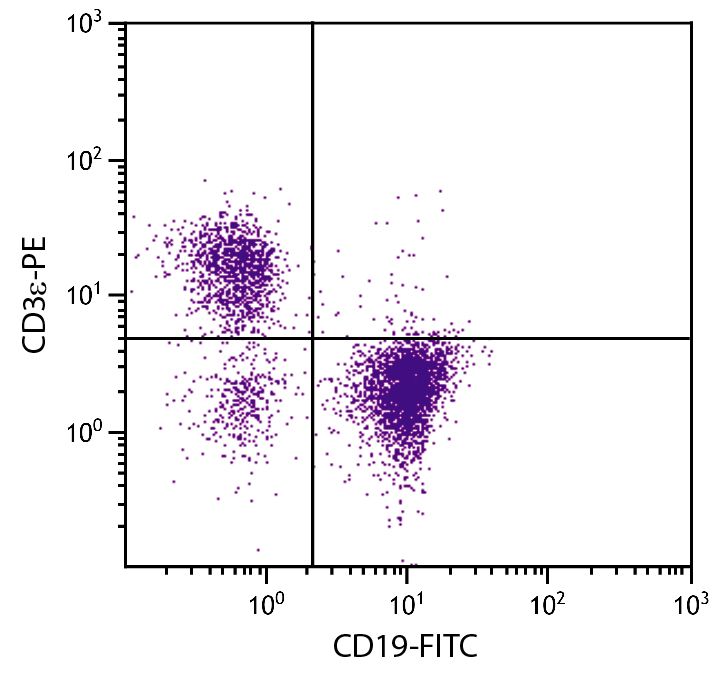 FITC Anti-Mouse CD19, 6D5 | SouthernBiotech