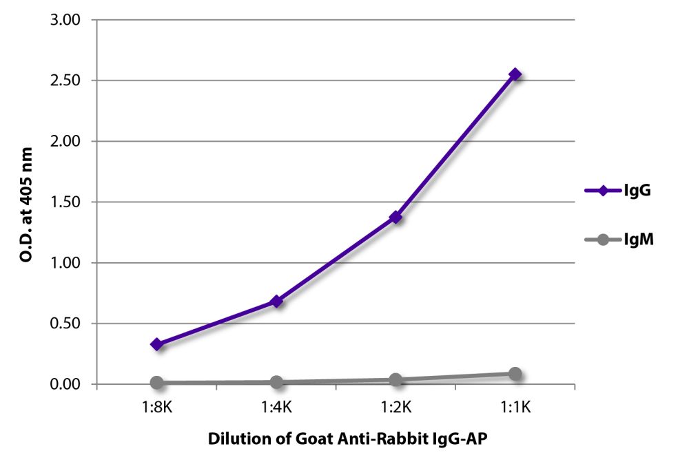 AP Goat Anti-Rabbit IgG | SouthernBiotech